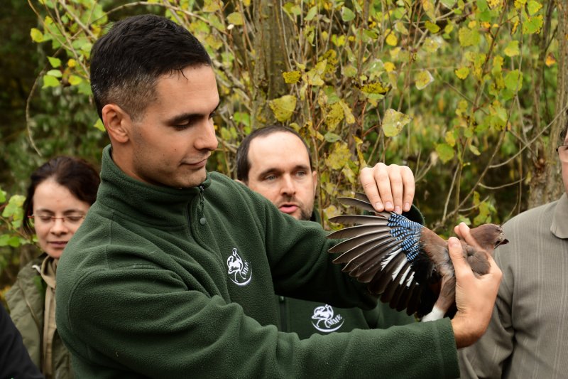 Közel 100 fő részvételével sikeresen lezajlott a 22. Homoktövis ...