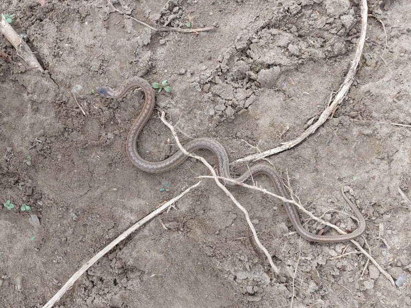 Teszedd Budapesten, avagy 1170 zsák - 118 m3 hulladék | Magyar ...