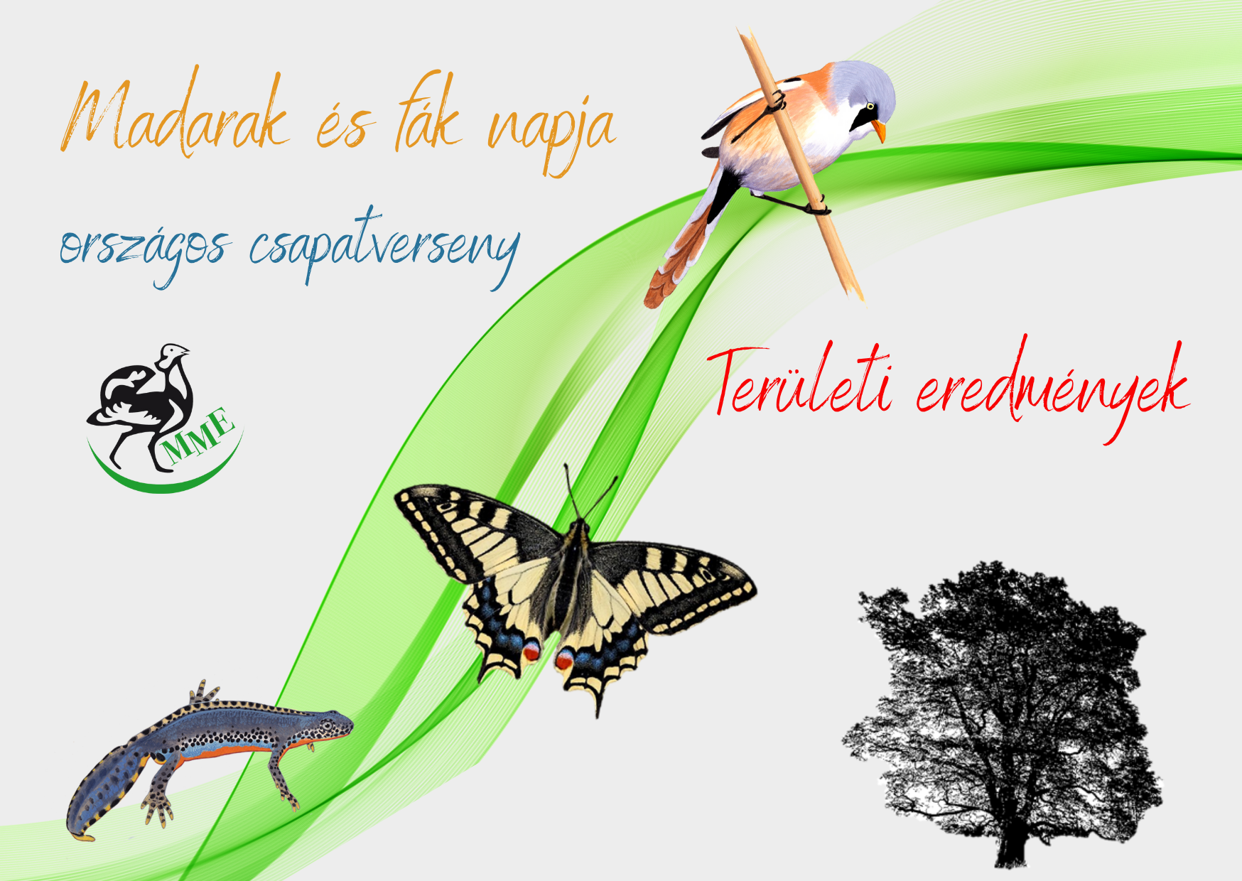 Madarak és fák napja verseny - területi eredmények | Magyar Madártani ...